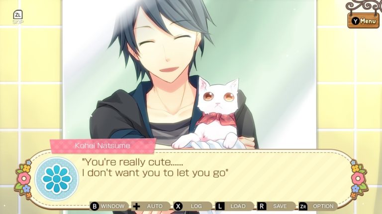 Kitty Love -Way to Look for Love Review for Nintendo Switch - Gaming Cypher