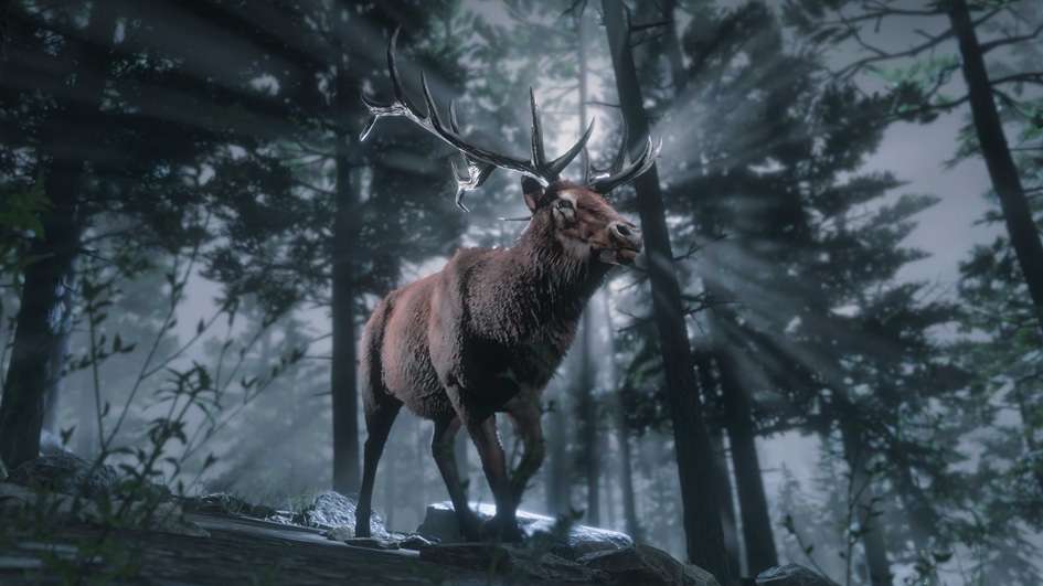 RED DEAD ONLINE this Month Features Triple Rewards on Sample Sales, 4 ...